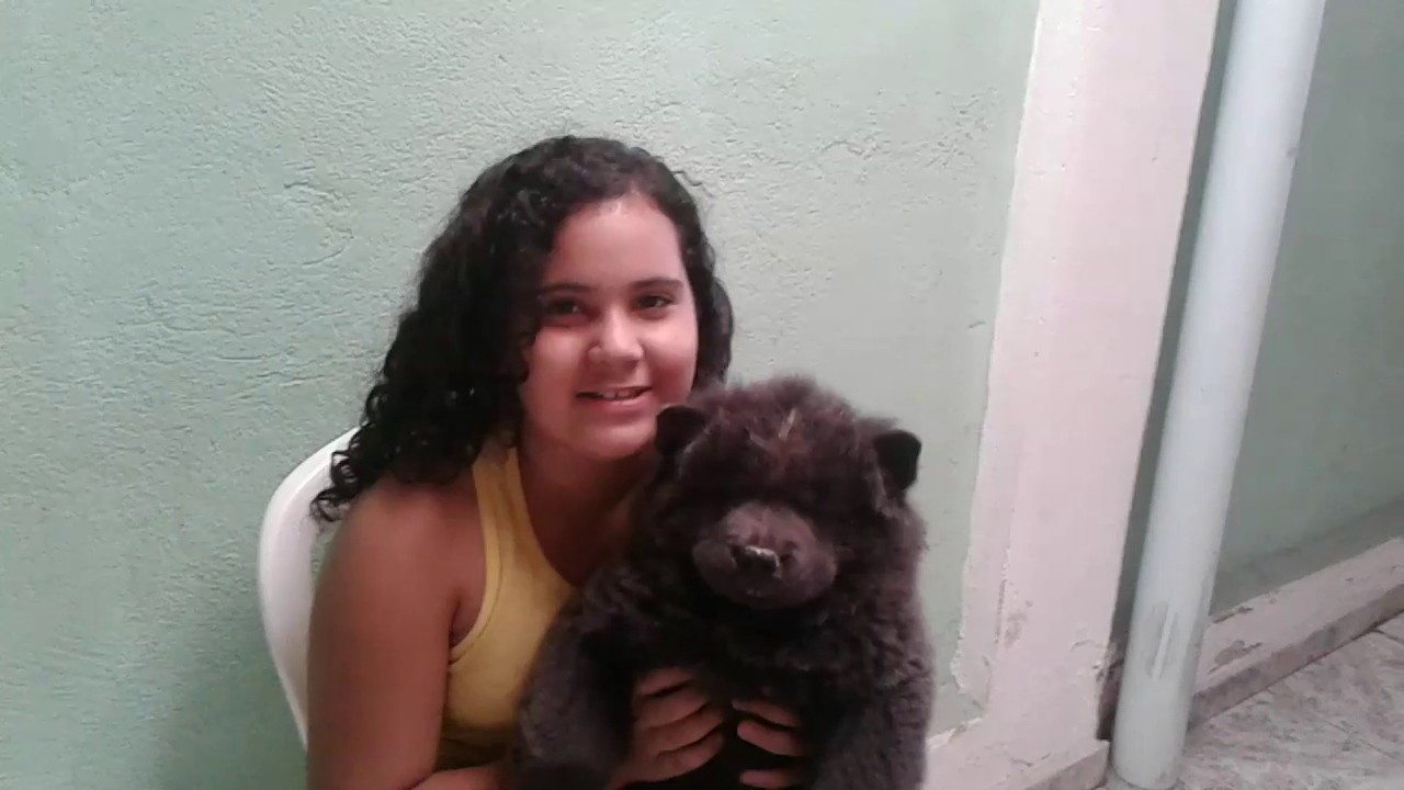 DEI BANHO NA "JUJU" ?! |Íris Macedo - YouTube