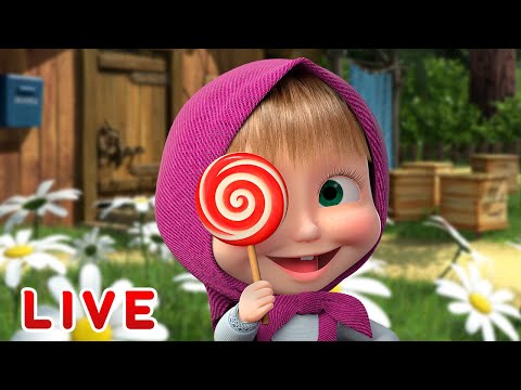 🔴 LIVE STREAM 🎬 Masha and the Bear 🐻👱‍♀️ Sunshine and lollipops ☀🍭