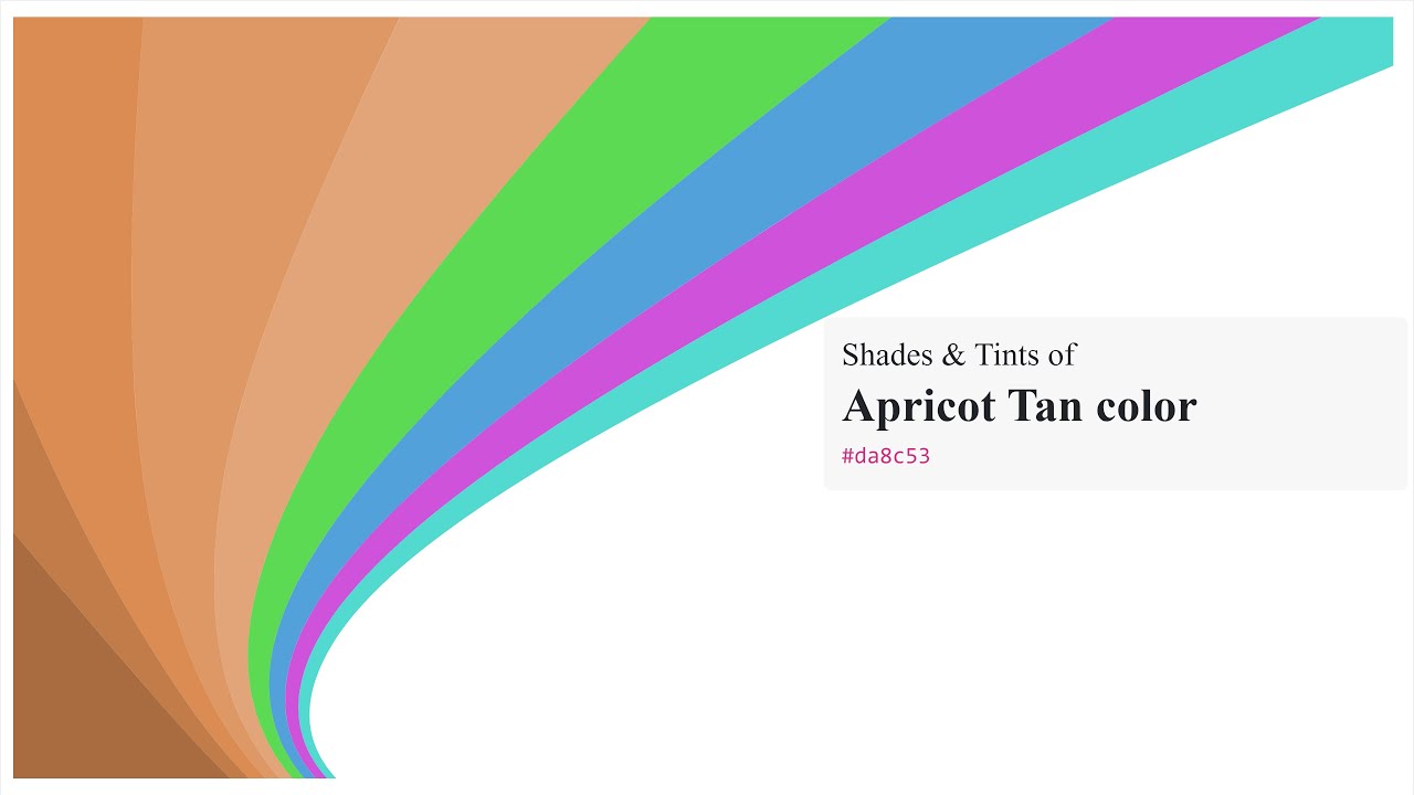 Shades & Tints of Apricot Tan color #da8c53 A Cool Orange color #c17c49 ...