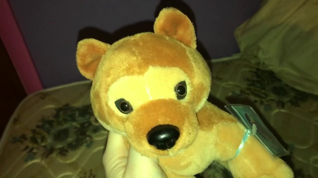 Webkinz Signature Collection! (Updated) - YouTube