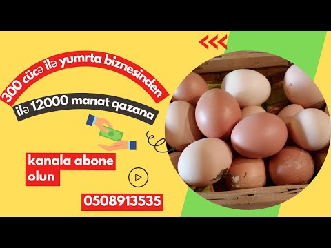 Yumurta sataraq ile 12000 manat qazan (YUMURTA BIZNESI)