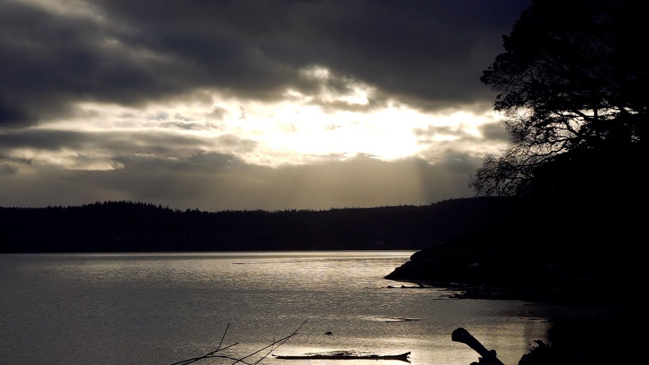 Kiket Island Beauty (and Mom's Tree Climb for Free Food!) - YouTube
