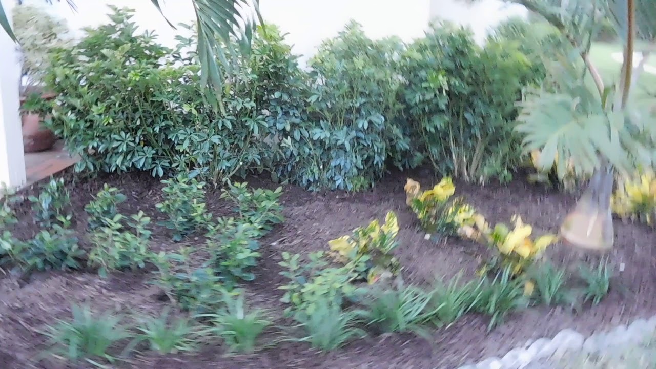 8114 Successful ARC Landscape project - YouTube