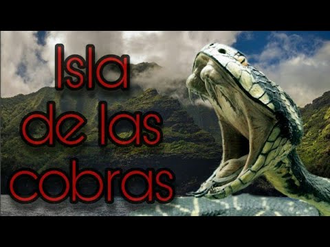 Isla de las cobras (Isla de la quemada grande) - YouTube