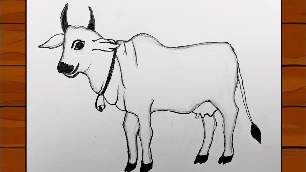 Cow drawing easy | how to draw a cow | cow banane ka tarika | gay ki ...