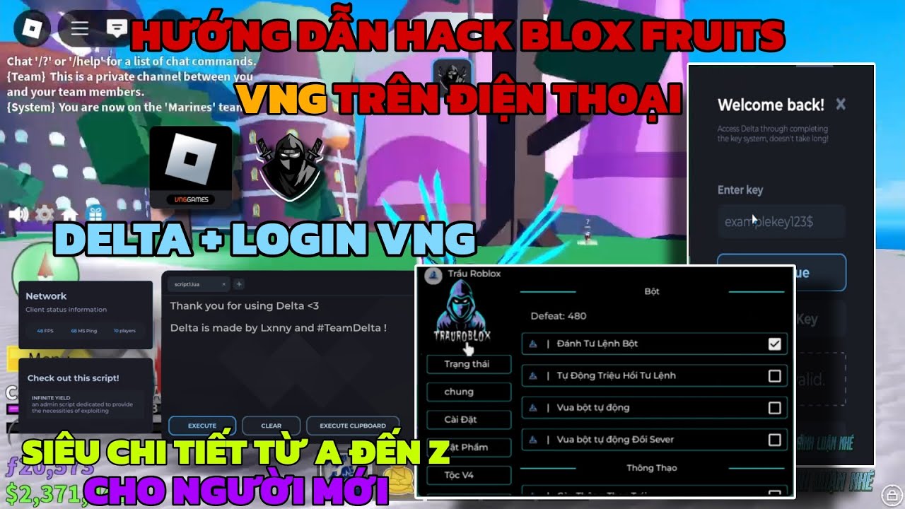 hướng dẫn hack blox fruits delta x vng trên điện thoại cho người mới ...