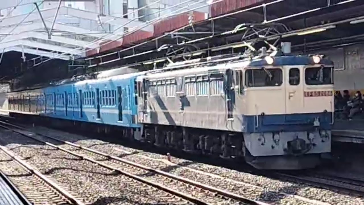 2024/12/14 EF65＋新101系251F 西武多摩川線 甲種輸送 新秋津駅通過 2024/12/14 - YouTube