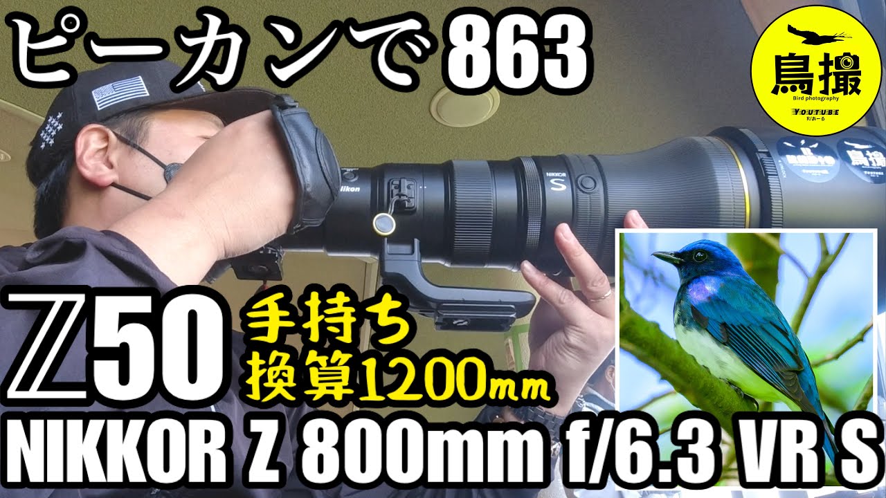 【野鳥撮影】ピーカンで863を使う！念願のオオルリも。 - Nikon Z50×NIKKOR Z 800mm f/6.3 VR S ...