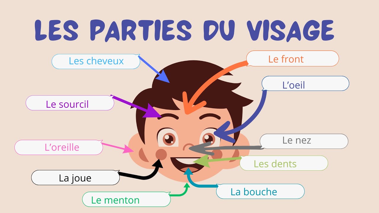 Les parties du visage - YouTube