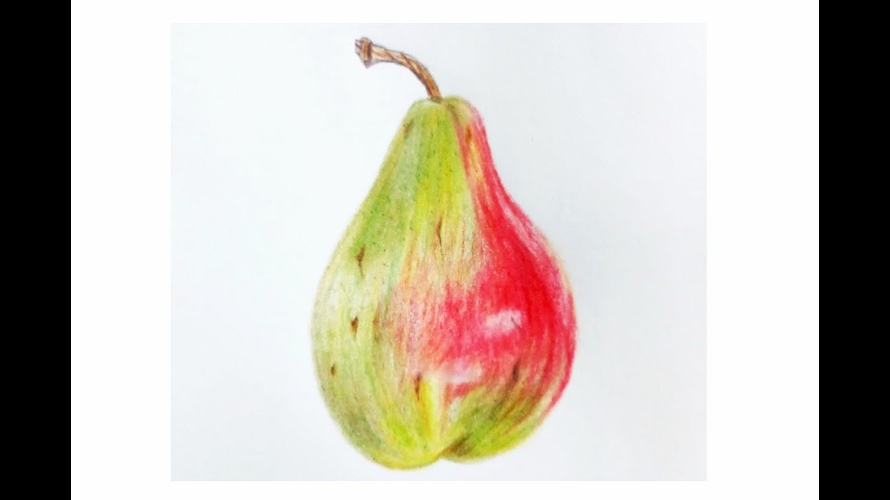Drawing a Pear in color pencils | Realistic Fruit Drawing | Pear ...