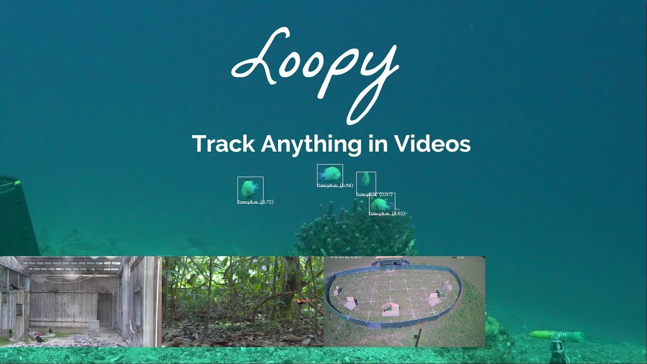 Loopy: Deep Learning Animal Tracking - YouTube