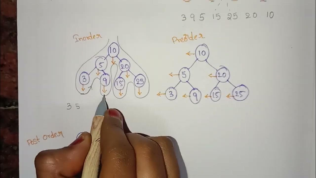 Traversal in Binary Tree(InOrder, PostOrder, PreOrder Traversals) - YouTube