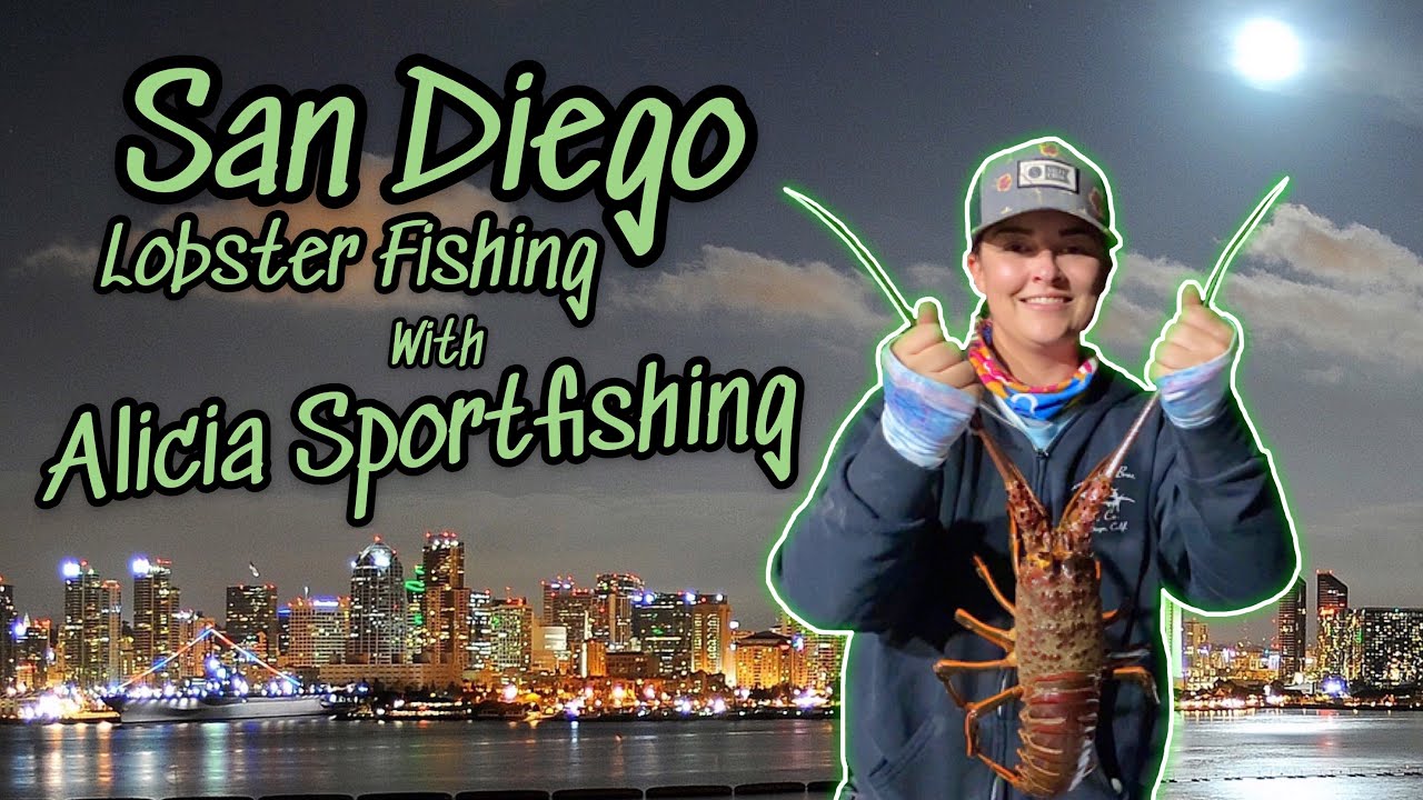 Lobster Fishing San Diego w/ Alicia Sportfishing - YouTube