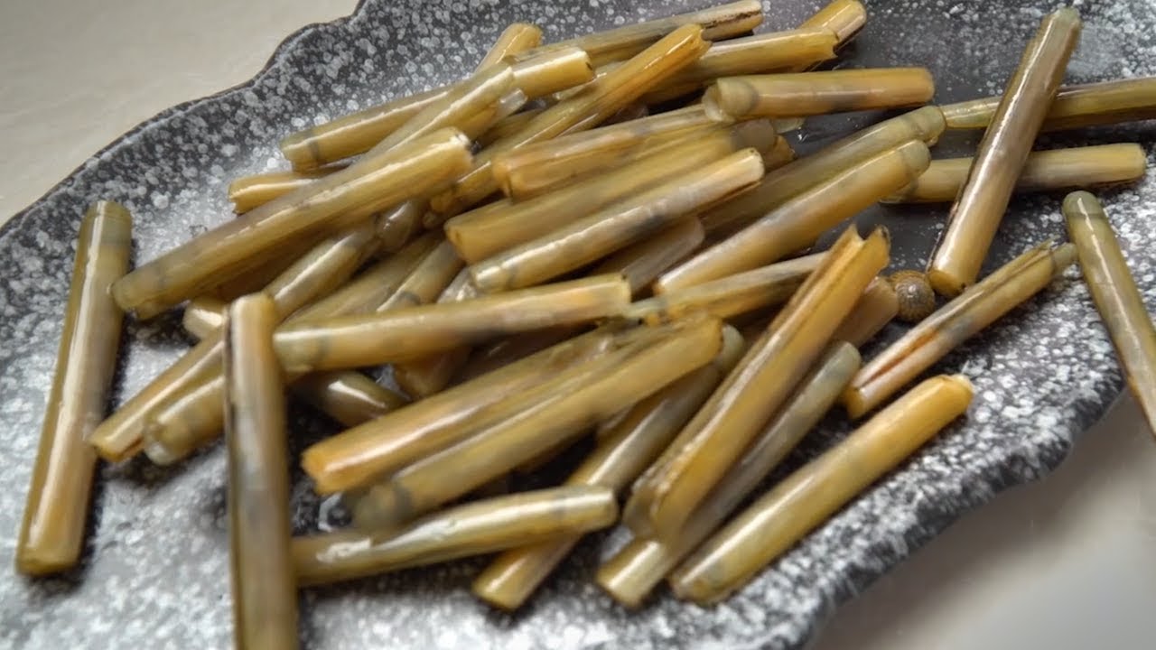 CATCH AND COOK RAZOR FISH BY USING SALT | EATING SHOW赶海抓了这么多美味的竹节蛏 ...