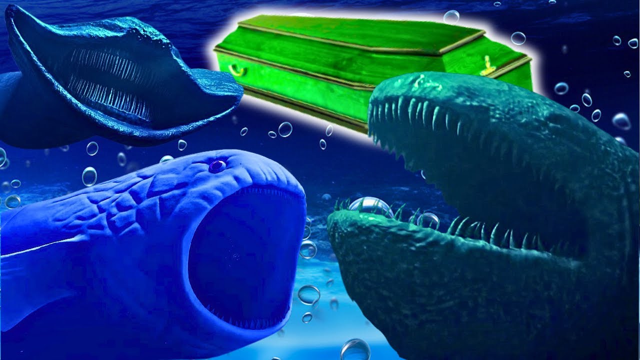 El Gran Maja vs The Bloop Arena Coffin Dance Song Meme Remix - YouTube