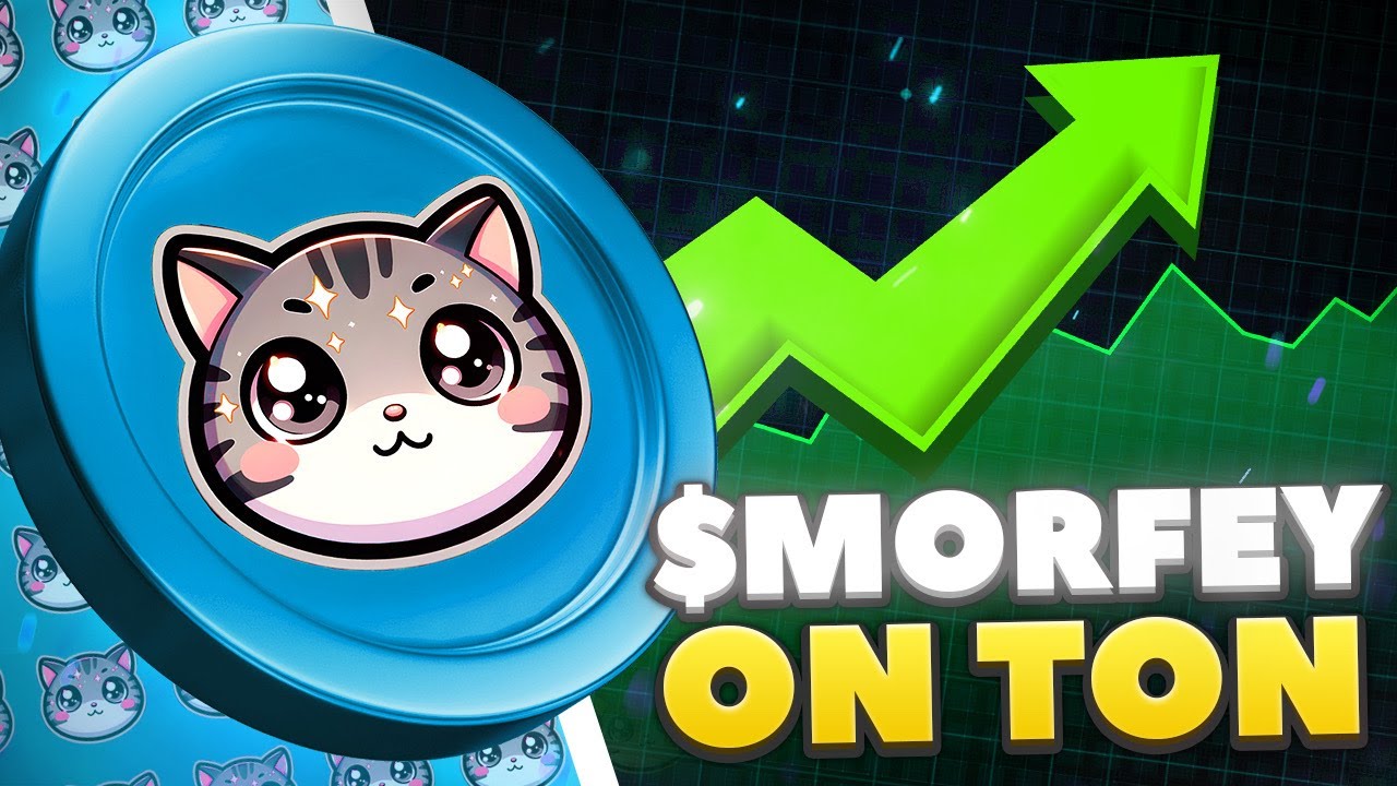 $MORFEY - THE BELOVED CAT OF NIKOLAI DUROV ON TON! - YouTube