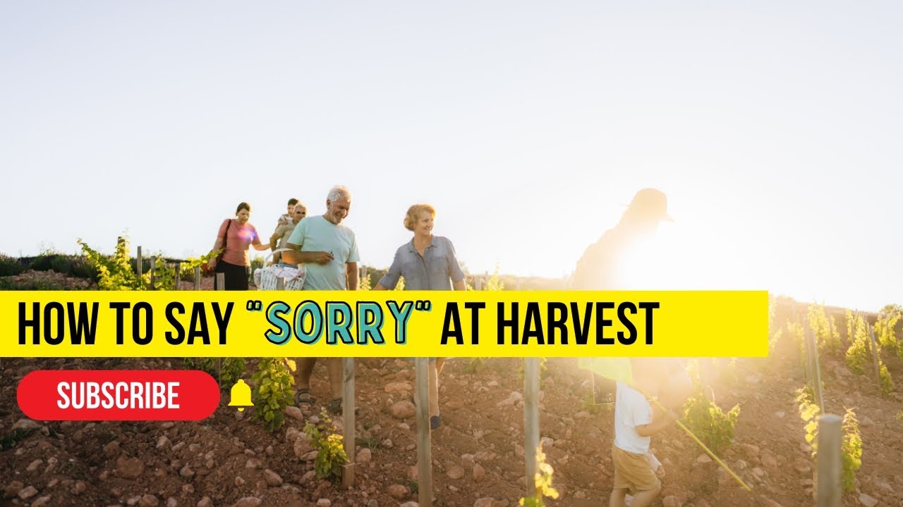How to Say “Sorry” at Harvest - YouTube