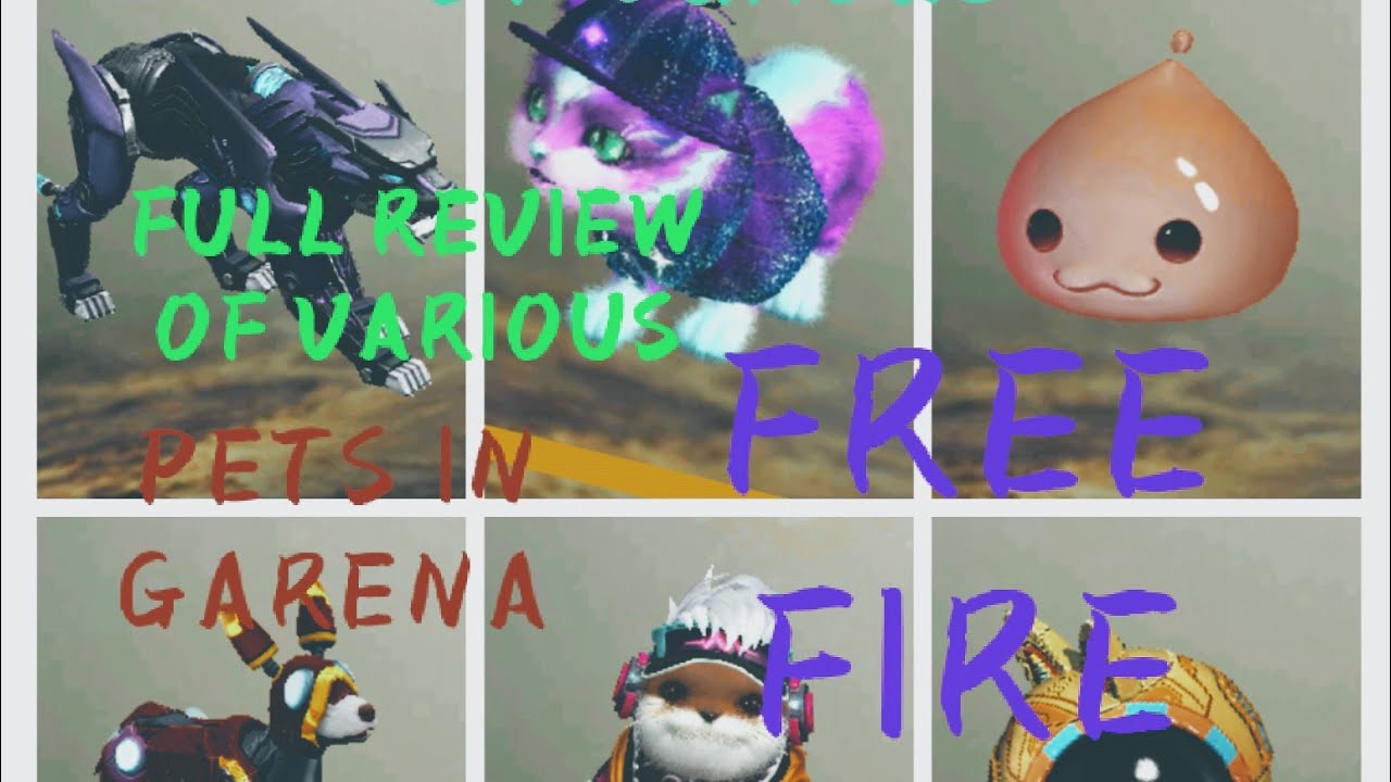 Garena Free fire: FULL REVIEW of all Pets in free fire - YouTube