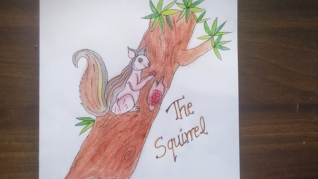 The Squirrel 🐿| drawing | class 7 honeycomb | easy drawing ...