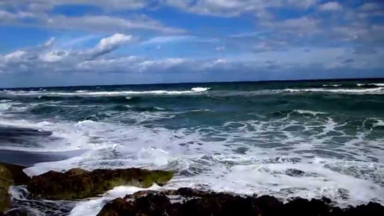 The Shoreline Blowing Rocks Preserve Jupiter Island Florida - YouTube