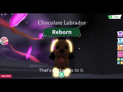 Adopt Me: Making a NEON Chocolate Labrador Pet by PigerellaDAD - YouTube