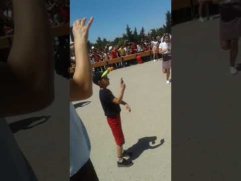 11B 316 son zeng mahnisi