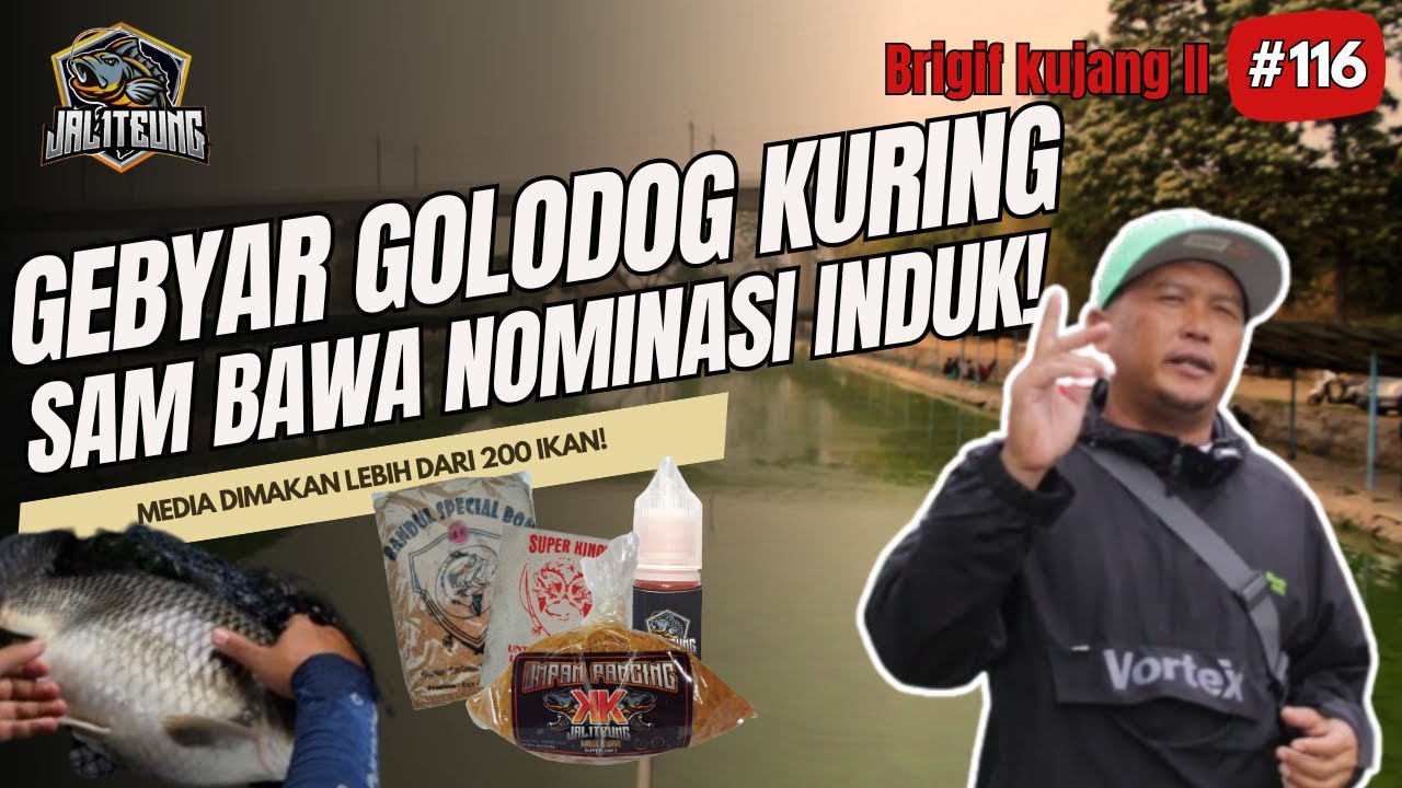 MANCING DI GOLODOG KURING !! KALI INI PAMAN SAM BAWA NOMINASI INDUK ...
