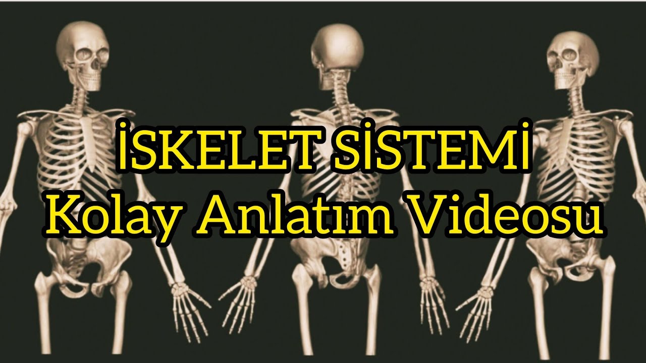 SKELETON SYSTEM ☠ HOW TO MAKE SKELETON MODEL 👻 İskelet Sistemi 💀kolay ...