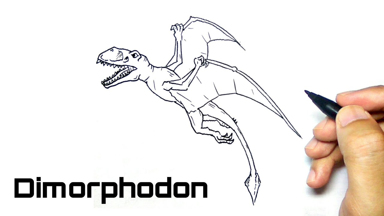 How to draw dinosaurs easy || dimorphodon - YouTube