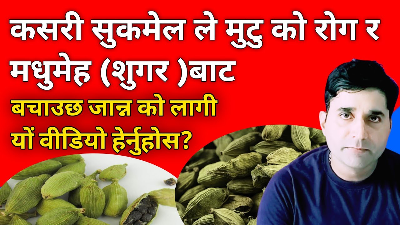 Sukmel khanu ko faida//Elayachi khanu ko faida k hunxa ...