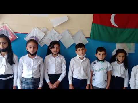 Bayraq gunune aid  sehnecik