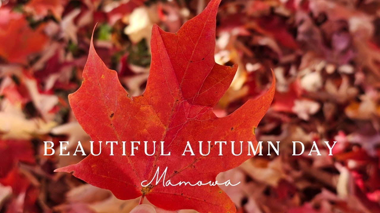 [SUB] 🍁🍂 How I enjoy beautiful a Autumn day, Local farm visit, Morning ...