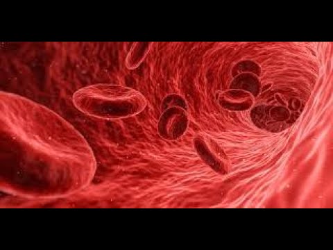 Quiz | Cell | Level 2- Intermediate | All the best - YouTube