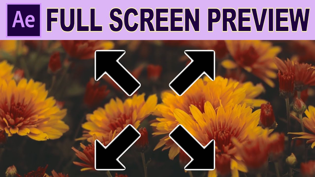 Full Screen Preview and Maximize Composition Panel - Adobe After ...