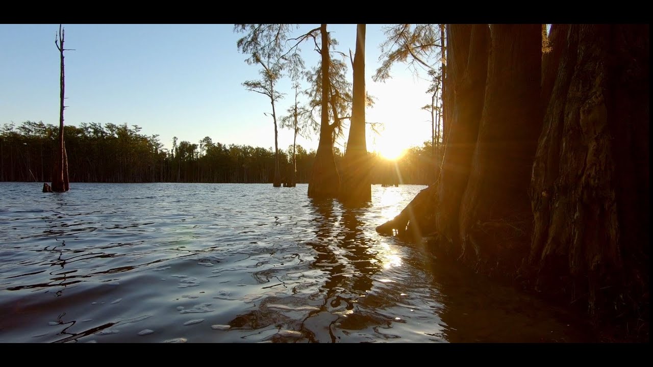 Ocheesee - YouTube