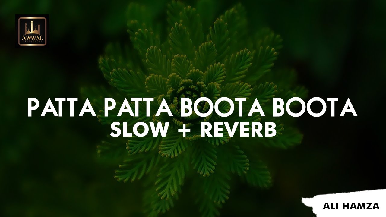 Patta Patta Boota Boota By Ali Hamza | Slow & Reverb Naat | Awwal ...