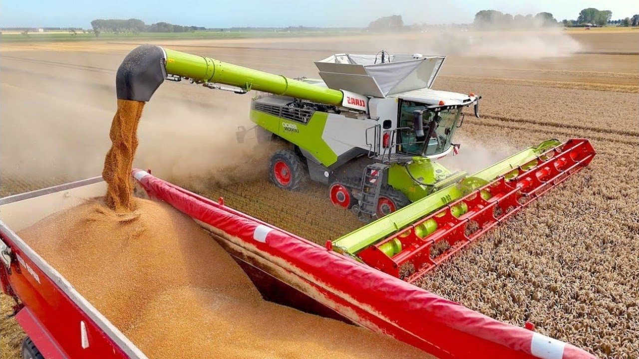 First Day Harvesting with the New Claas Lexion 8900 | Wheat Harvest ...
