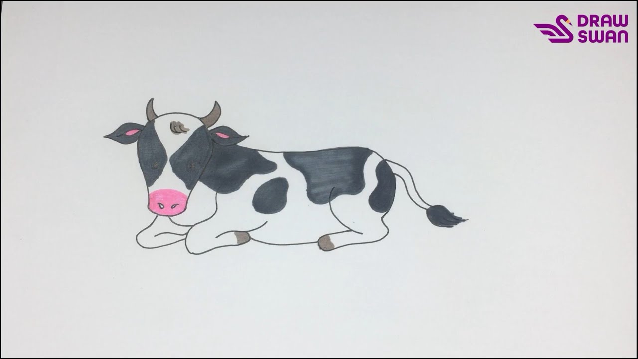 How to draw a cow lying down - YouTube