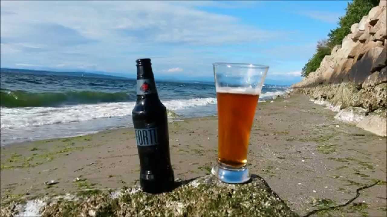 Miller Fortune Beer Review - YouTube