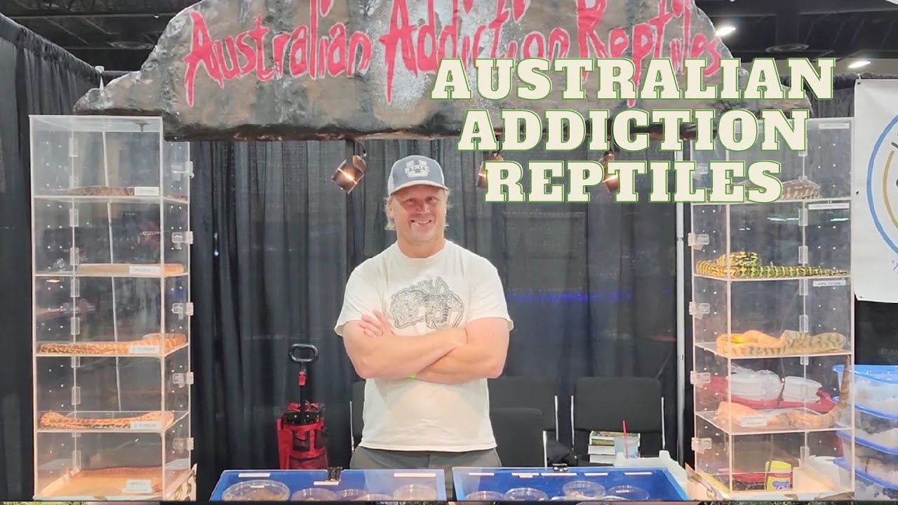Stimson's python, and more. Justin Julander, Australian Addiction Reptiles. - YouTube