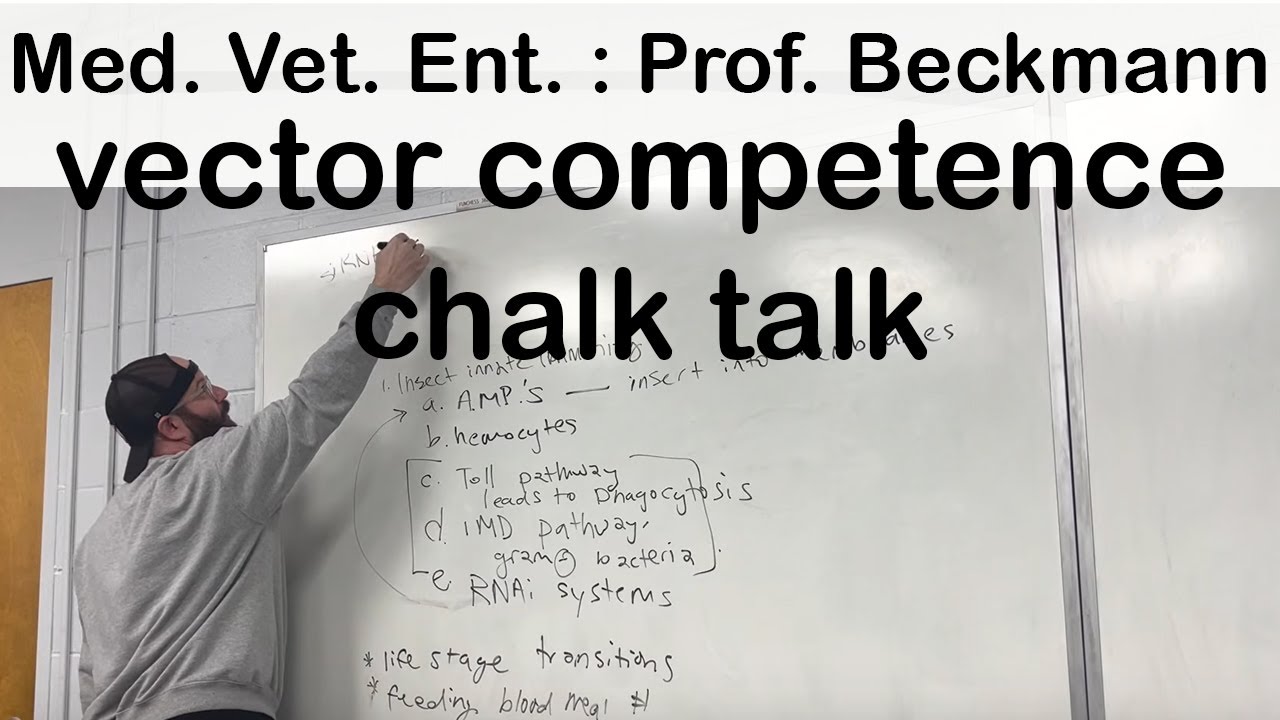 vector competence chalk talk - YouTube