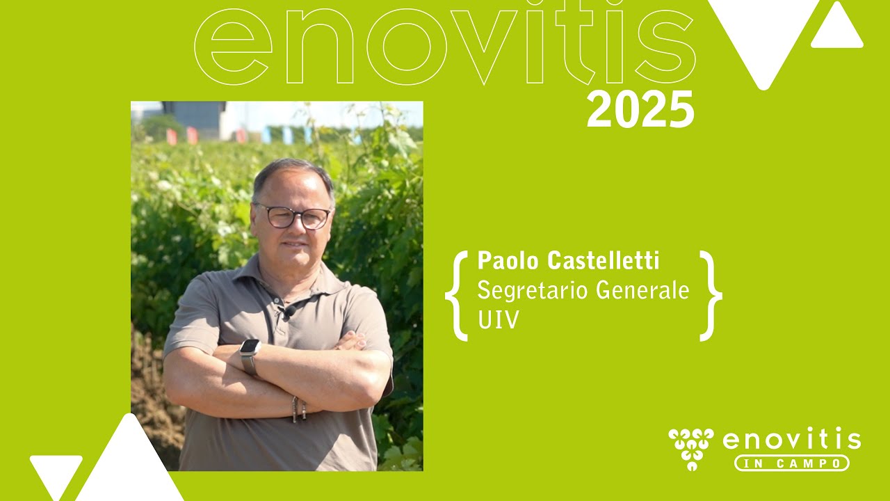 Intervista a Paolo Castelletti - Segretario Generale UIV - YouTube