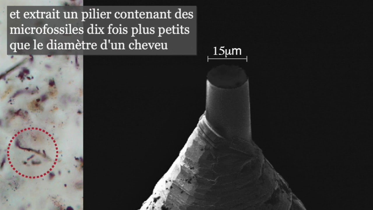 Les scientifiques ont produit les vues en 3D de microfossiles avec 1,9 ...