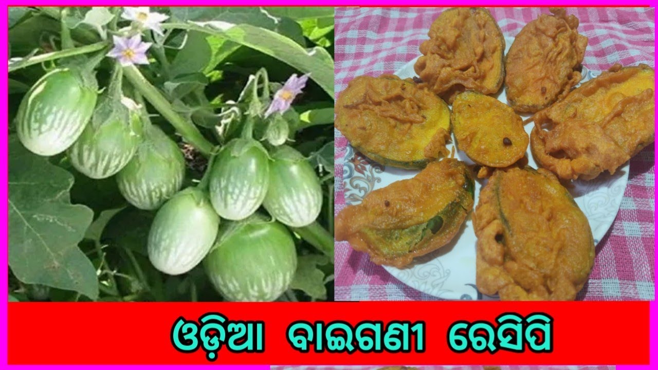 Brinjal pakoda recipe in odia ||Baigana pakudi odiare || odia baigani ...