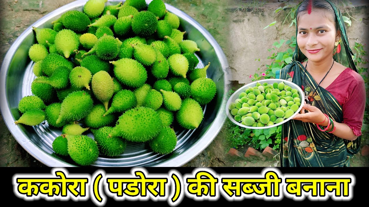ककोरा ( पडोरा ) की सब्जी बनाना | Making Kakora Vegetable | Village ...