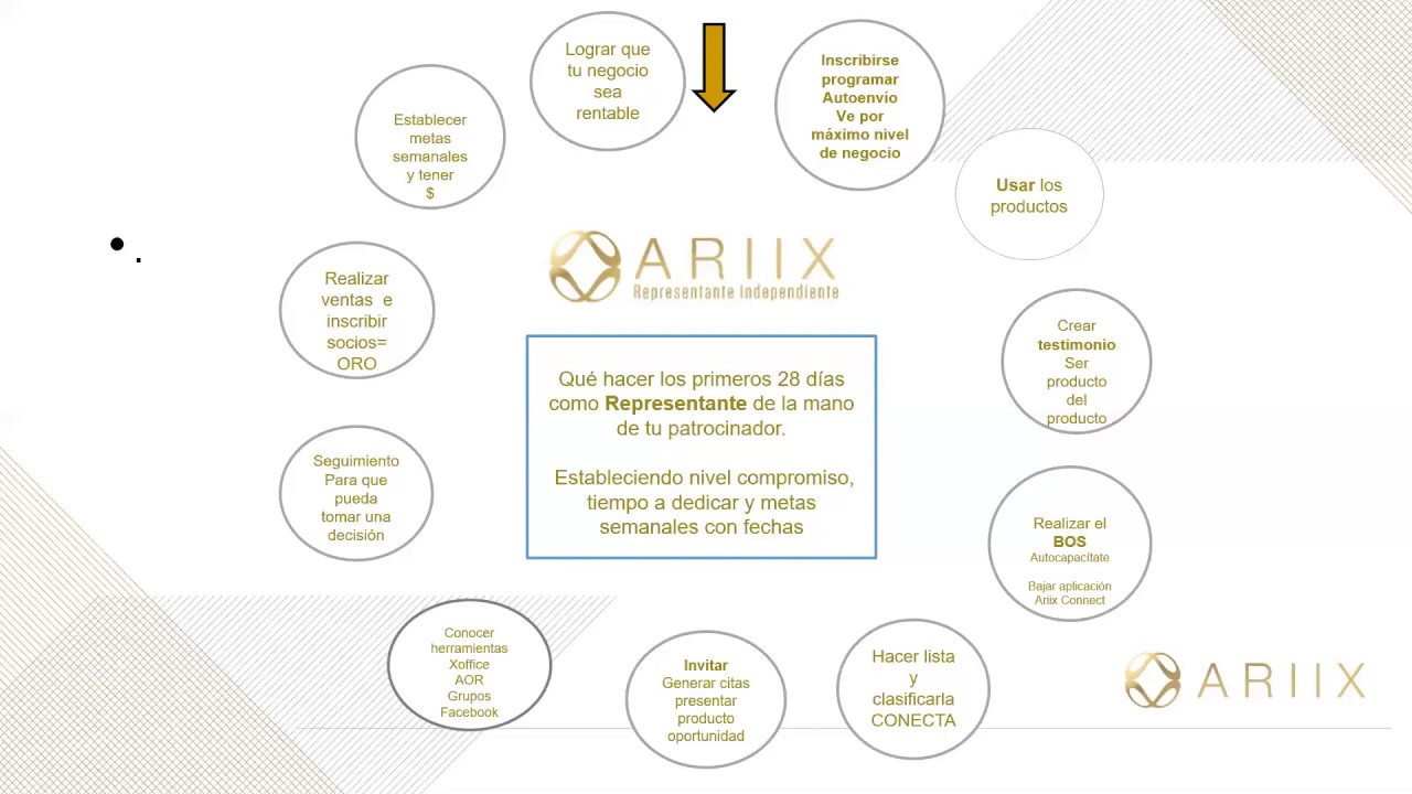CAPACITACION ARIIX - YouTube