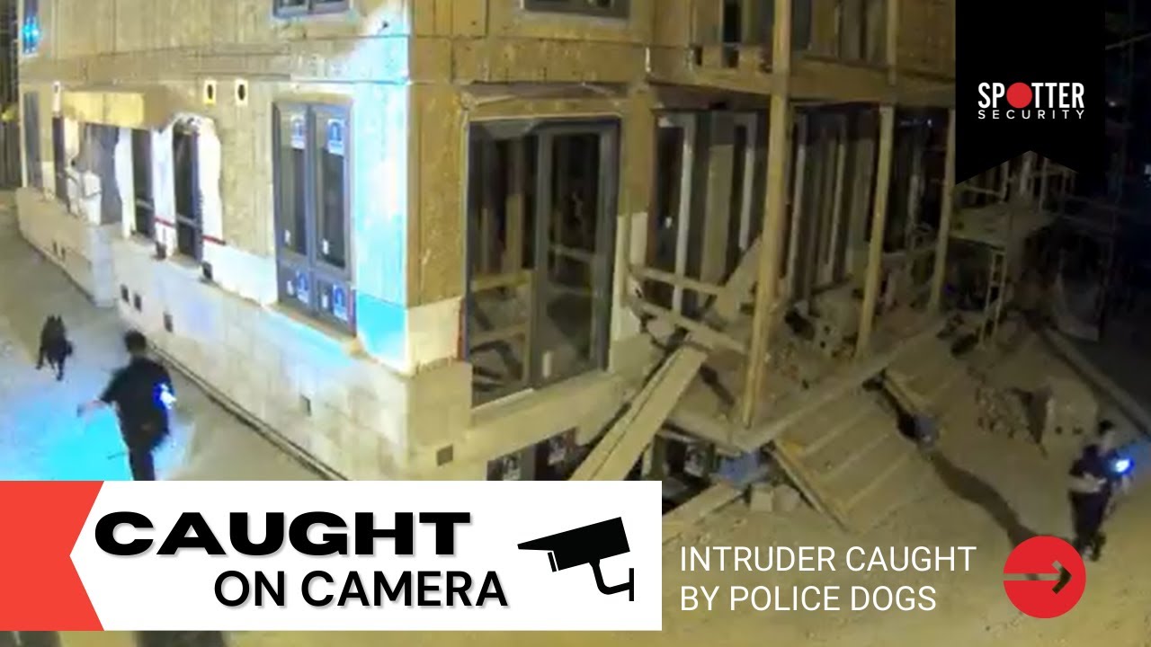 Construction Site Security - Intruder Caught by Police Dogs - YouTube