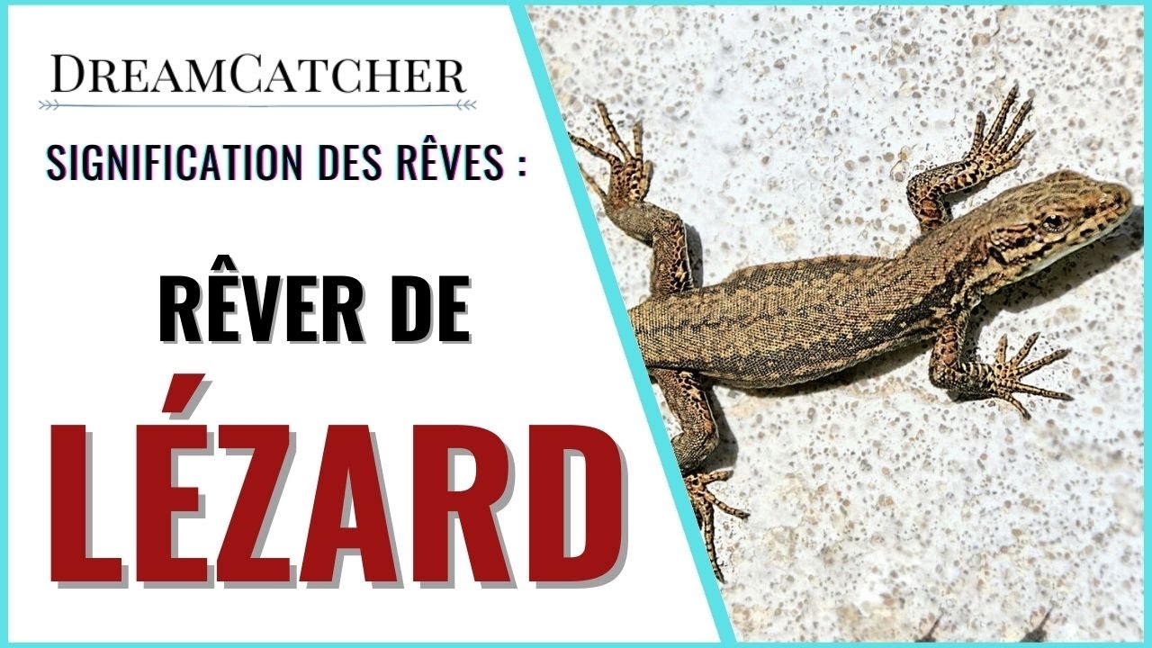 RÊVER DE LÉZARD - SIGNIFICATION DES RÊVES, INTERPRÉTATIONS DES RÊVES ...