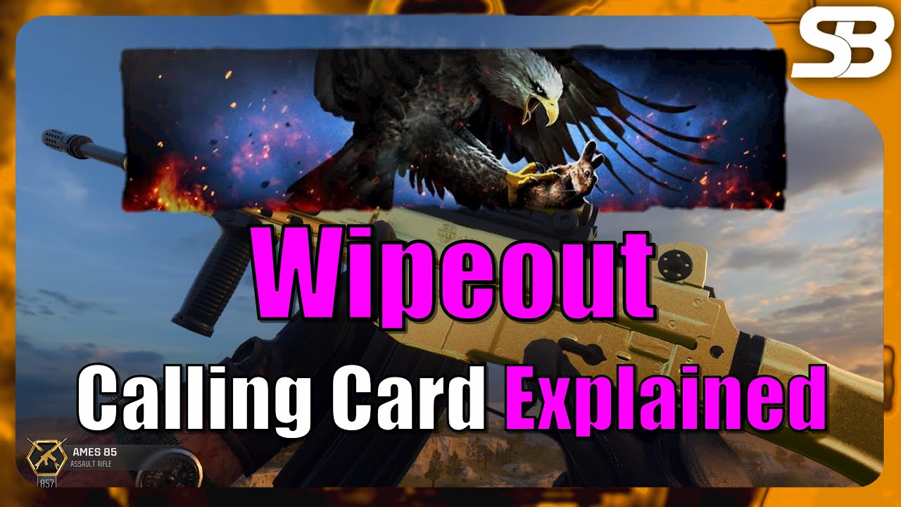BO6 Wipeout Calling Card (Black Ops 6 Multiplayer Wipeout Medal Calling ...
