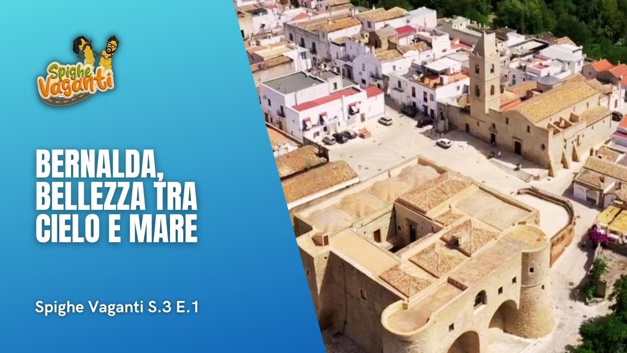 BERNALDA - SPIGHE VAGANTI - S3 E1 - YouTube